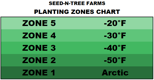 More Information | Seed-N-Tree Farms